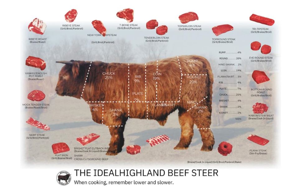 Triple M Highland Beef Co – Triple M Highland Beef Co